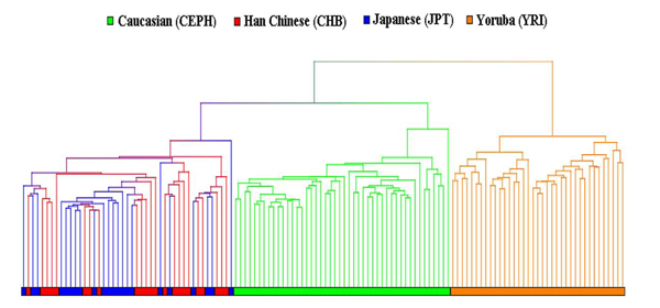 The Open Bioinformatics Journal Home Page